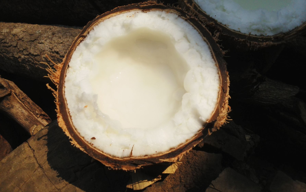 The Makapuno Project has Begun to Produce Biomass Fuel Through the ...